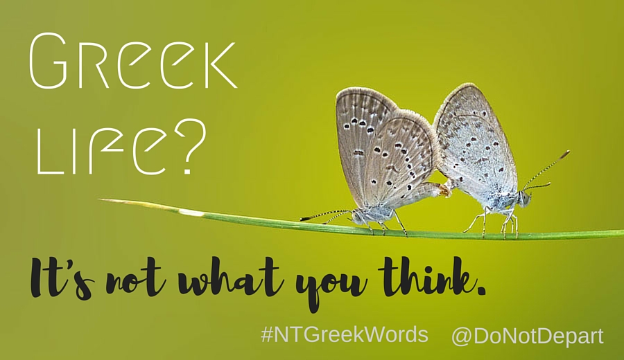 Is Greek Life for You? It's Not What You Think