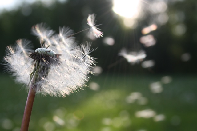 Z - Zephyrs, Breezes from God {26 Surprising Ways to Encounter God, A-Z}