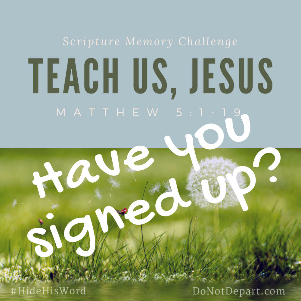 Have You Memorized the Beatitudes? Want to Try Now? {New Scripture ...