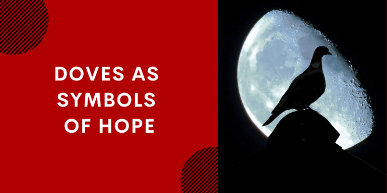 Doves as Symbols of Hope to Start Again
