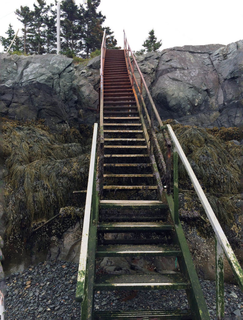 You Have a Safety Net. Take the Risk.