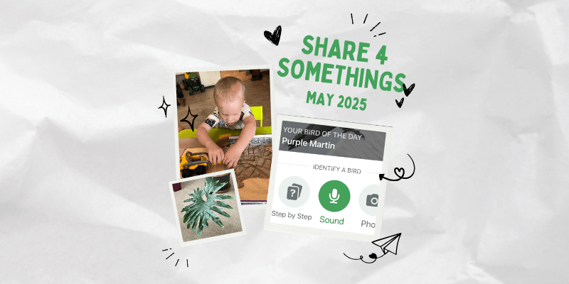 Share 4 Somethings - May 2025