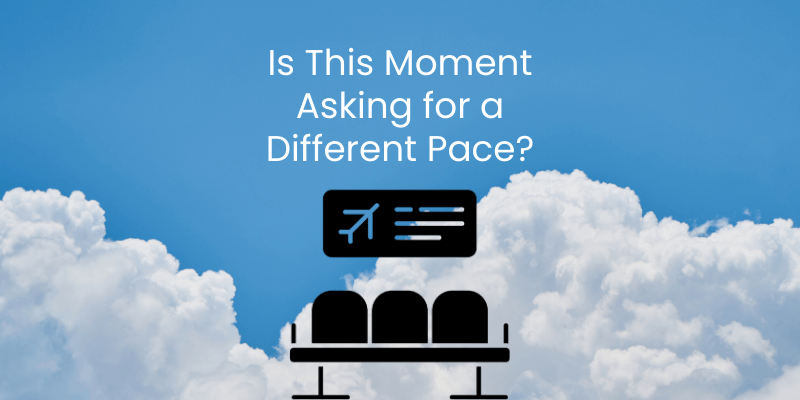 What If This Moment Is Asking for a Different Pace?